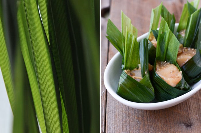 Pandan Chicken Bites | Gai Bai Tuey | ไก่ใบเตย - Rachel Cooks Thai